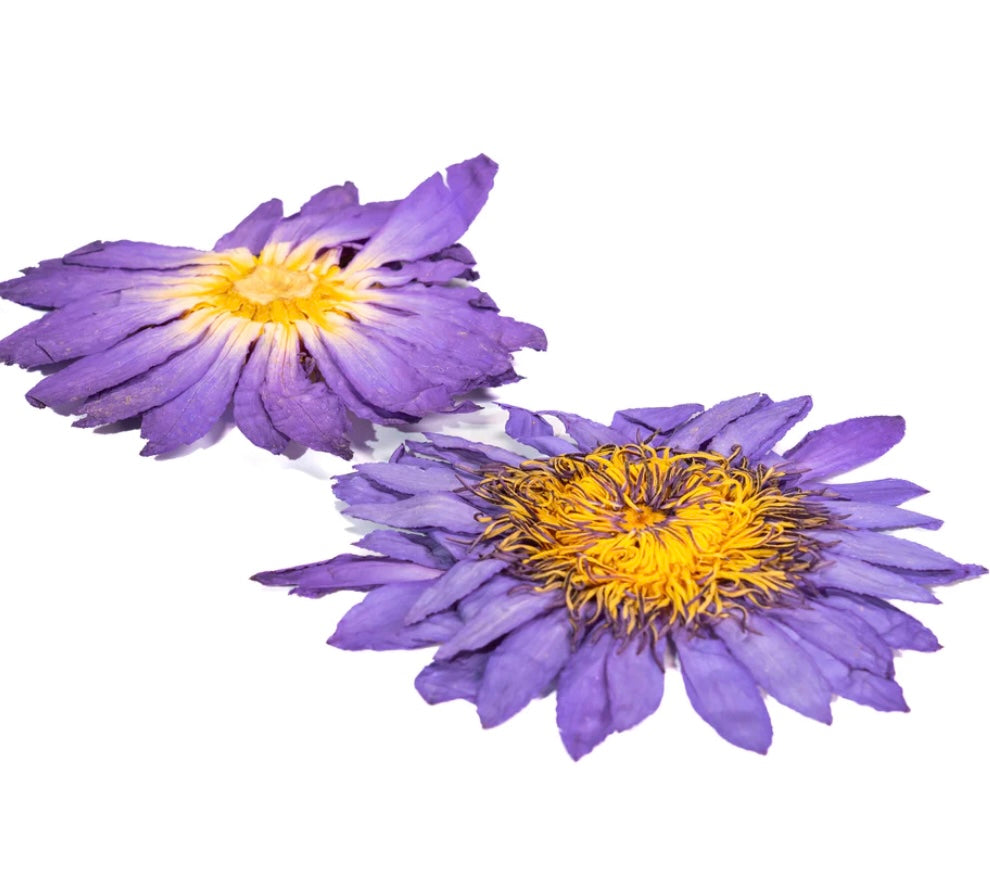 Beyond 5D - Holistic & Energetic Hygiene – GoBeyond5D